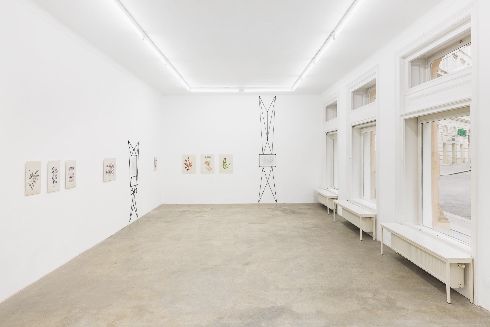 02 Julian Göthe, Anna Zemánková, Find some flowers that look like ...